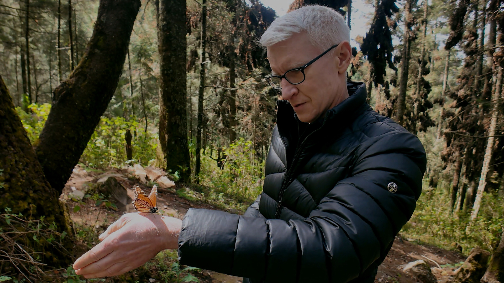 Watch 60 Minutes Overtime: Anderson Cooper on the monarch migration ...