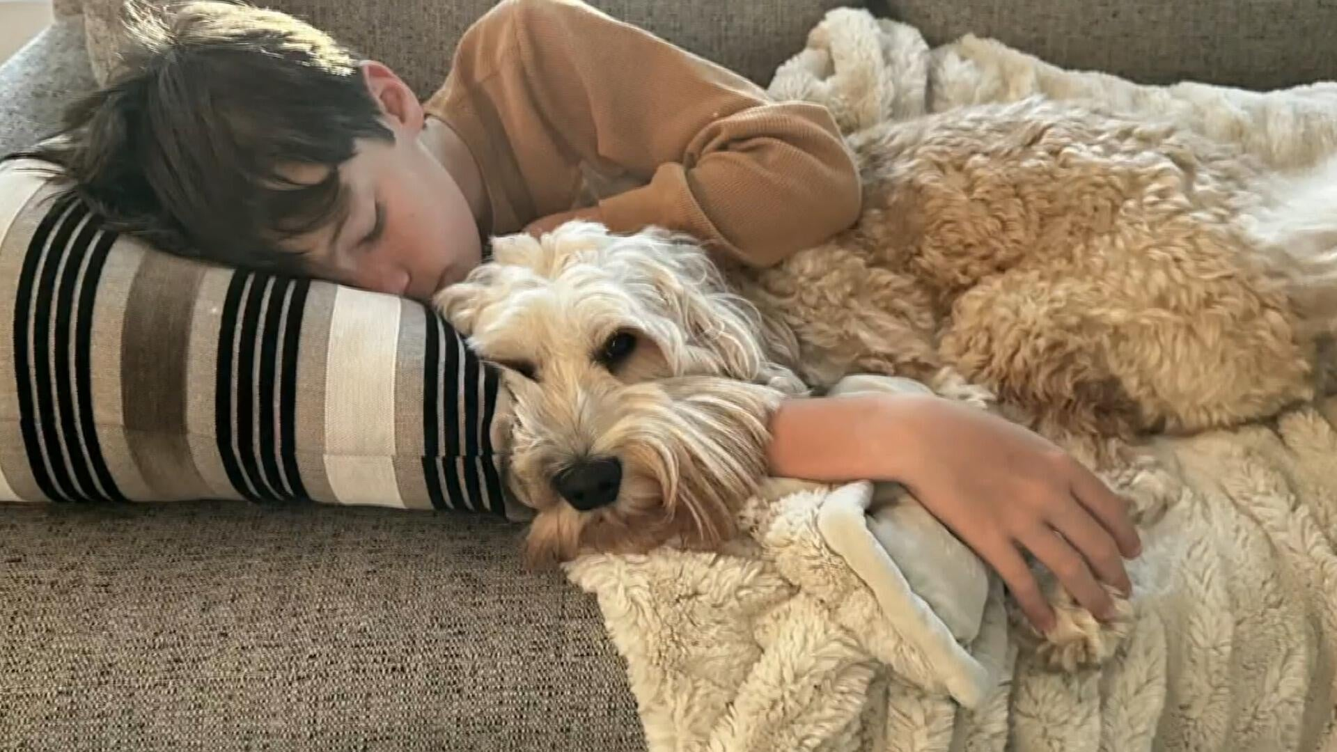 Watch CBS Evening News: Goodbye to dog becomes lesson in letting go ...