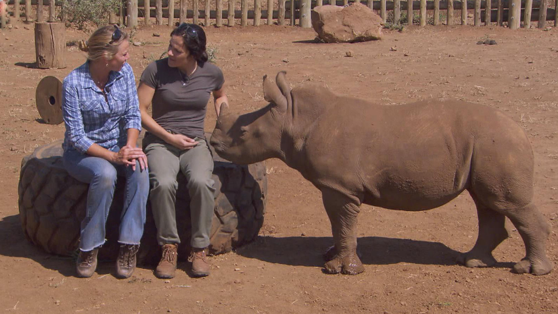 Watch 60 Minutes Overtime Season 50 Episode 38: Protecting orphaned ...