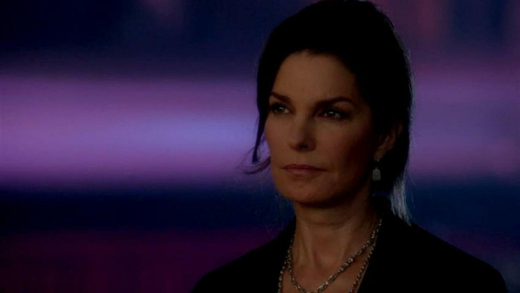 Watch CSI: NY Season 9 Episode 7: Clue: SI - Full show on Paramount Plus