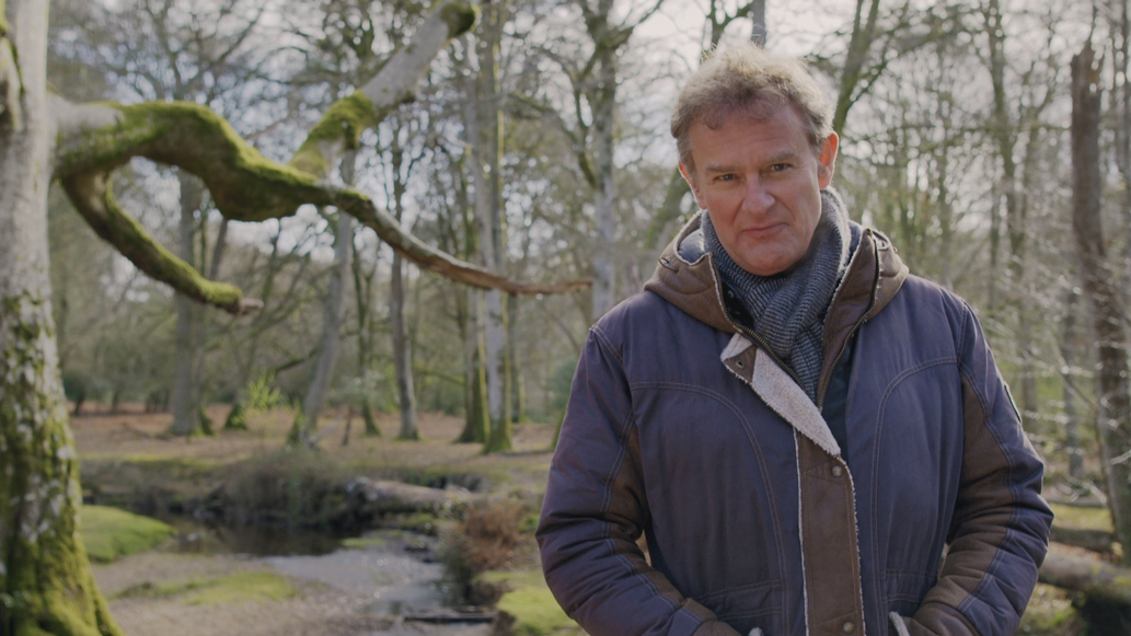 The Crown’s Ancient Forest - Watch Full Movie on Paramount Plus