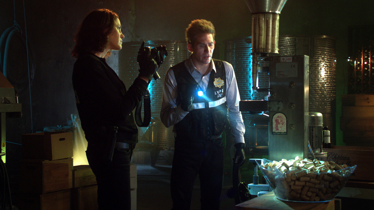 Watch CSI: Crime Scene Investigation Season 13 Episode 13: CSI: - In ...