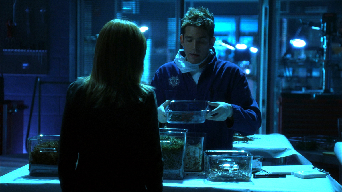 Watch CSI: Crime Scene Investigation Season 5 Episode 6: CSI: - What's ...
