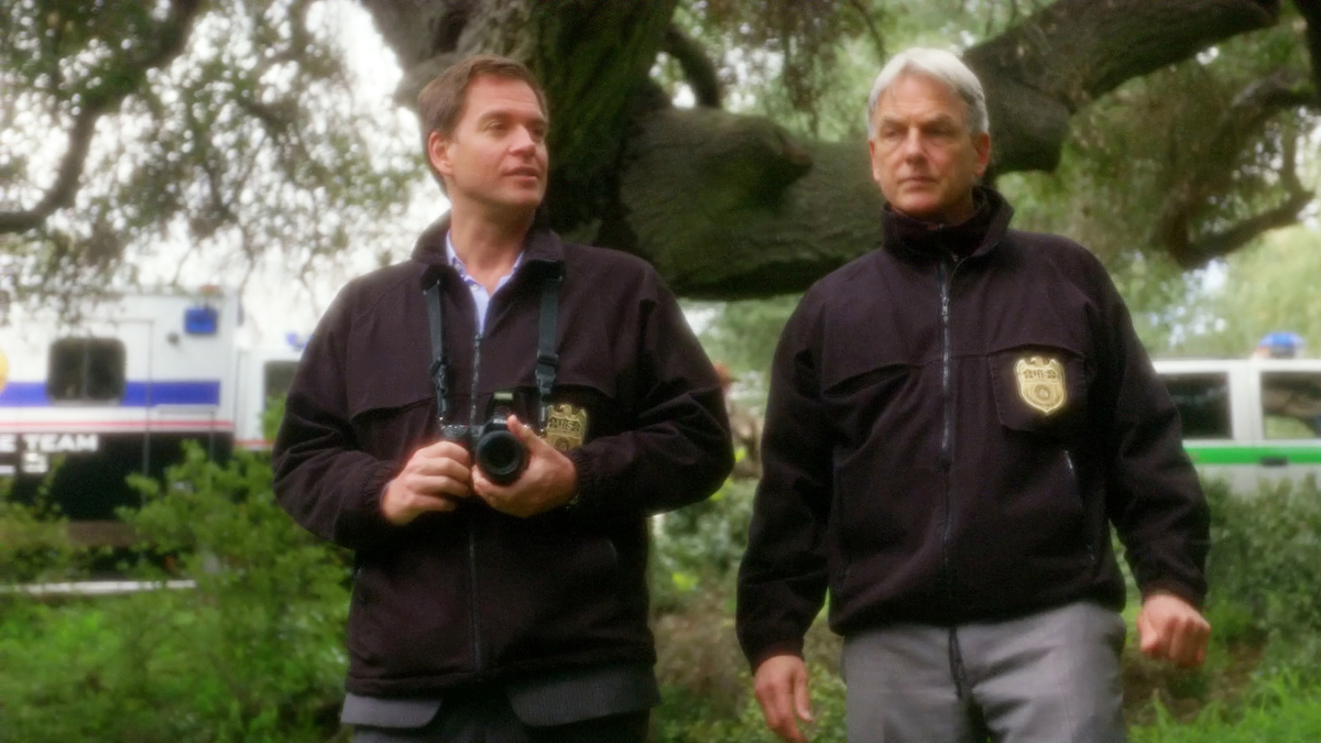 Watch NCIS Season 8 Episode 19: NCIS - Tell-All – Full show on ...