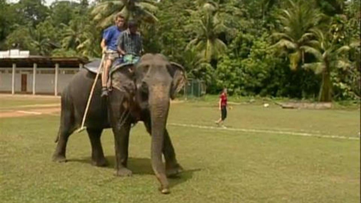 Watch The Amazing Race Season 6 Episode 11: It Always Comes Down to the ...