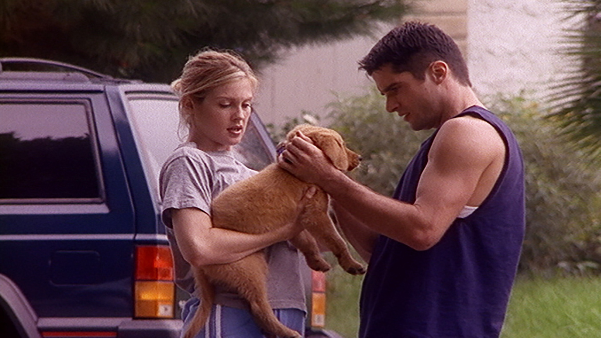 Watch Melrose Place Season 7 Episode 13: Melrose Place - The Night The ...
