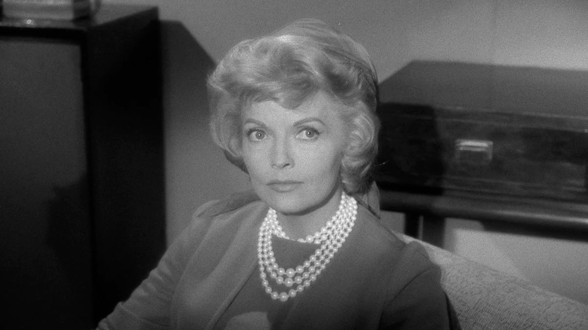 Watch Perry Mason Season 4 Episode 24: The Case of the Violent Vest ...