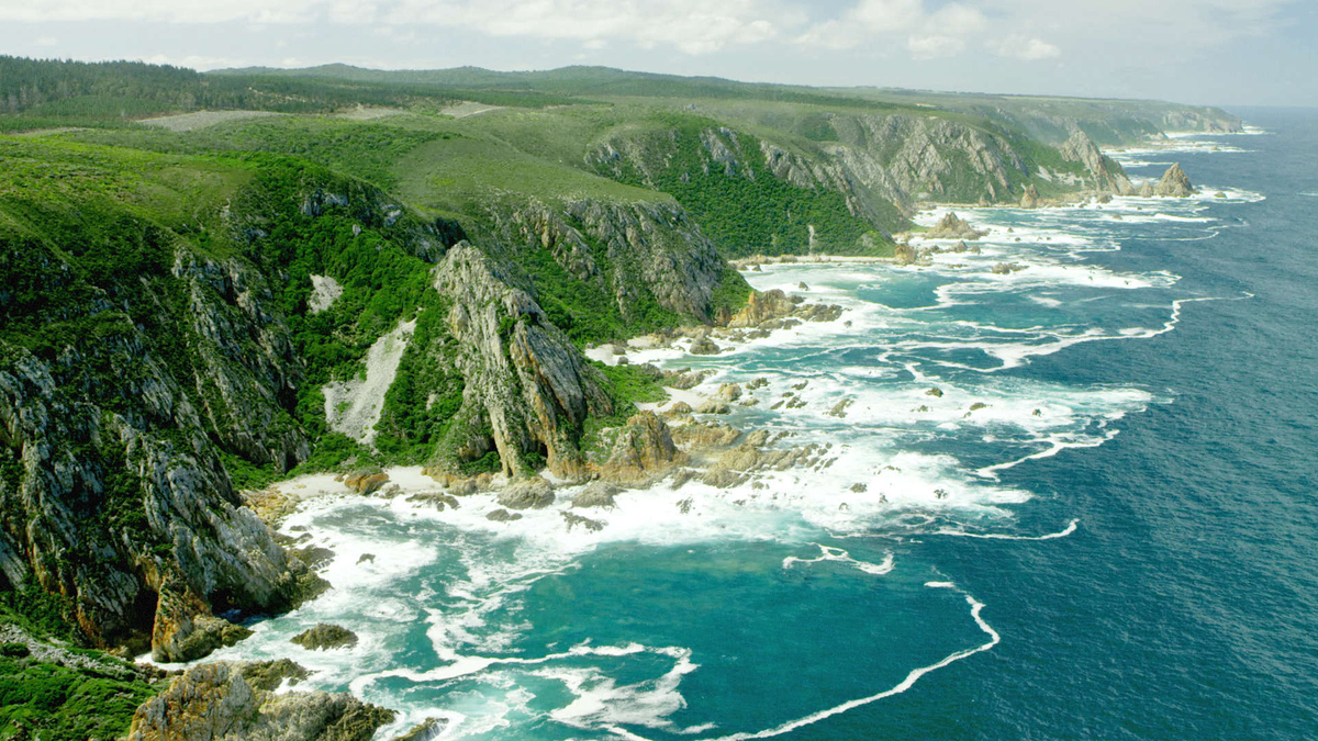 Watch Aerial Africa Season 1 Episode 1: Wild South Coast - Full show on ...