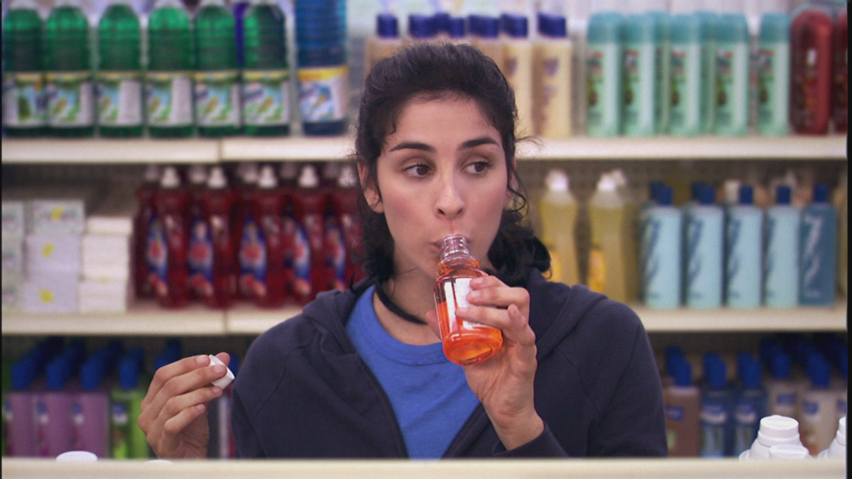 Watch The Sarah Silverman Program Season 1 Episode 1: Officer Jay ...