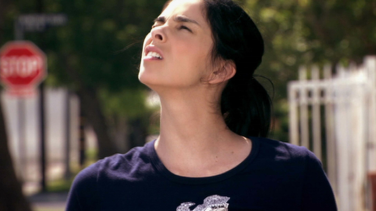Watch The Sarah Silverman Program Season 2 Episode 5: Ah, Men - Full ...