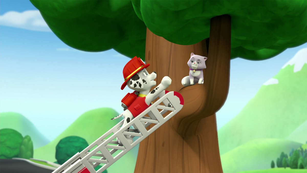 Watch PAW Patrol Season 1 Episode 8: Pups Pit Crew/Pups Fight Fire ...
