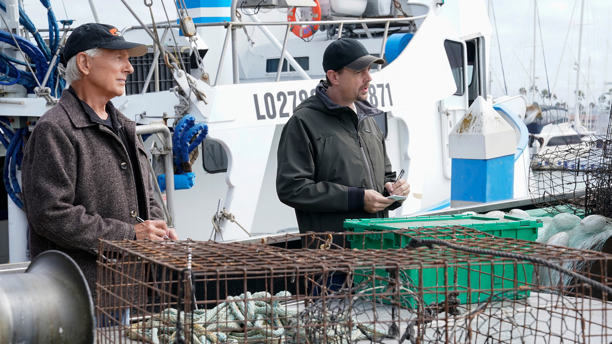 Watch NCIS Season 19 Episode 4: NCIS - Great Wide Open – Full show on ...