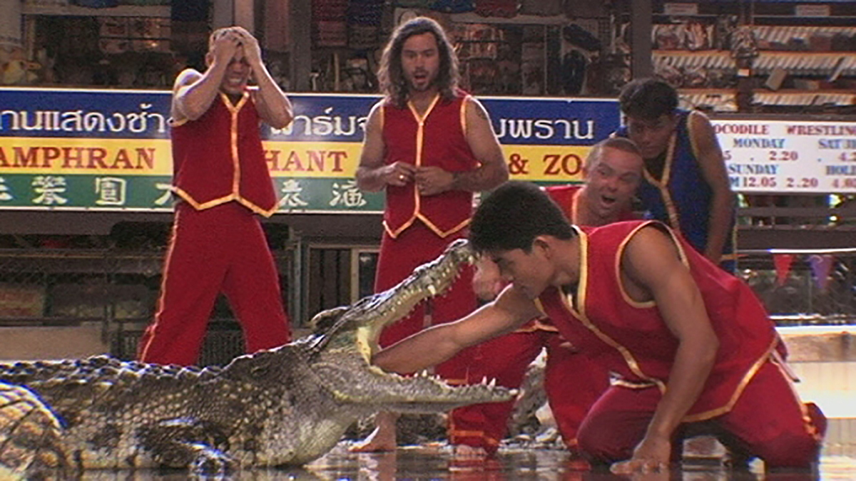 Watch Wildboyz Season 4 Episode 2: Wildboyz - Thailand – Full show on ...