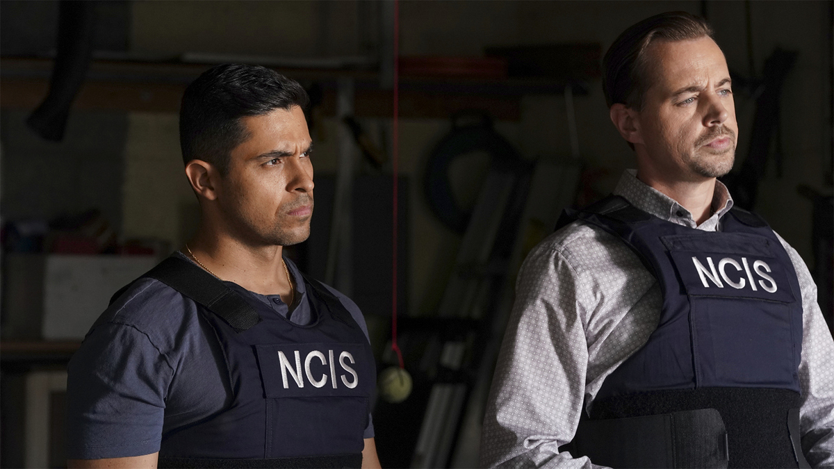 Watch NCIS Season 19 Episode 21: NCIS - Birds of a Feather – Full show ...