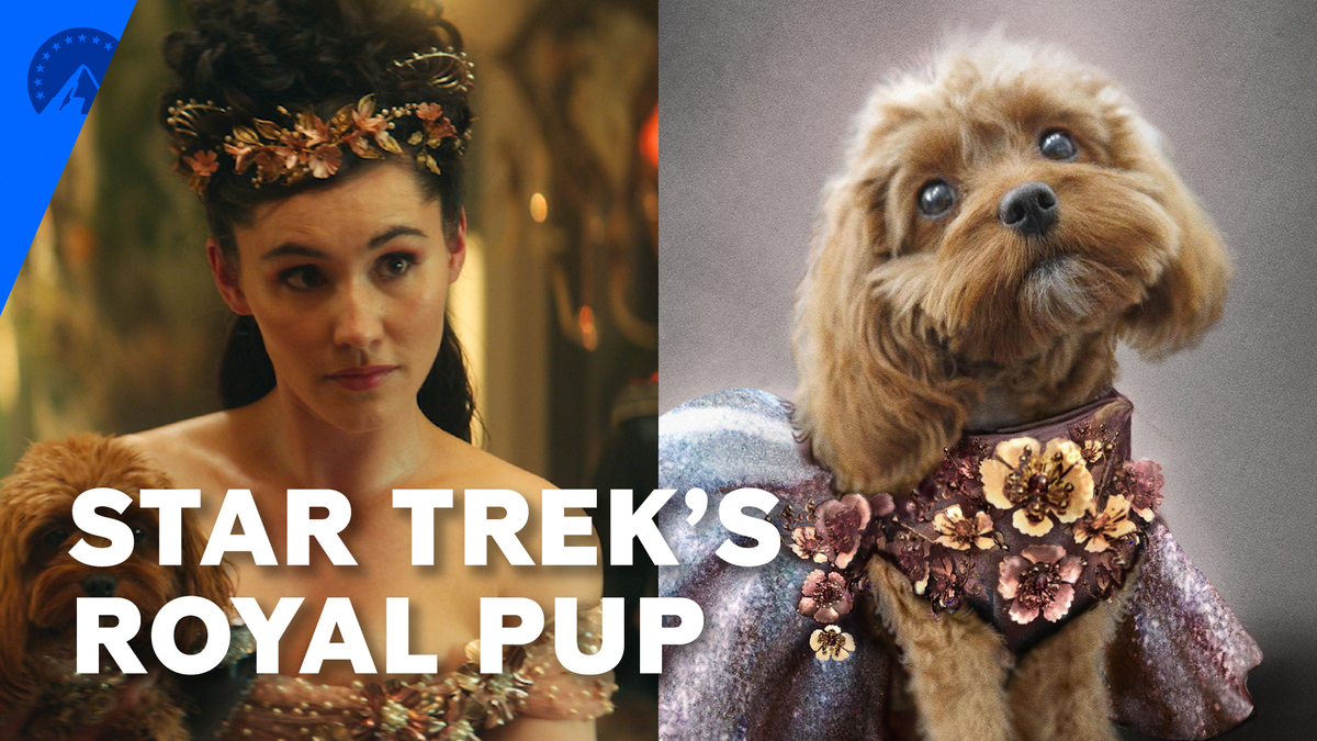 Watch Star Trek: Strange New Worlds Star Trek's Royal Pup - Paramount+