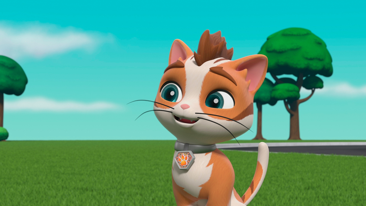 Assistir Patrulha Canina Temporada 8 Episódio 25: Patrulha Canina ...