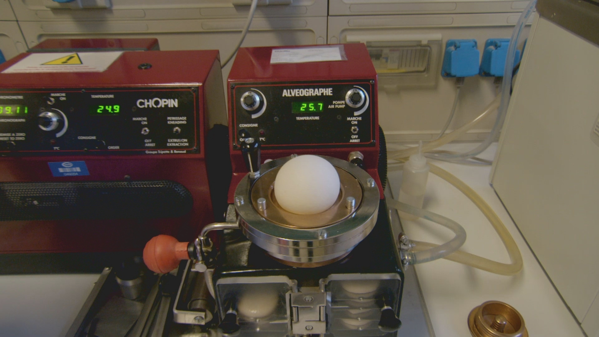 Watch Inside the Factory Season 3 Episode 2: Inside the Factory - Pasta ...