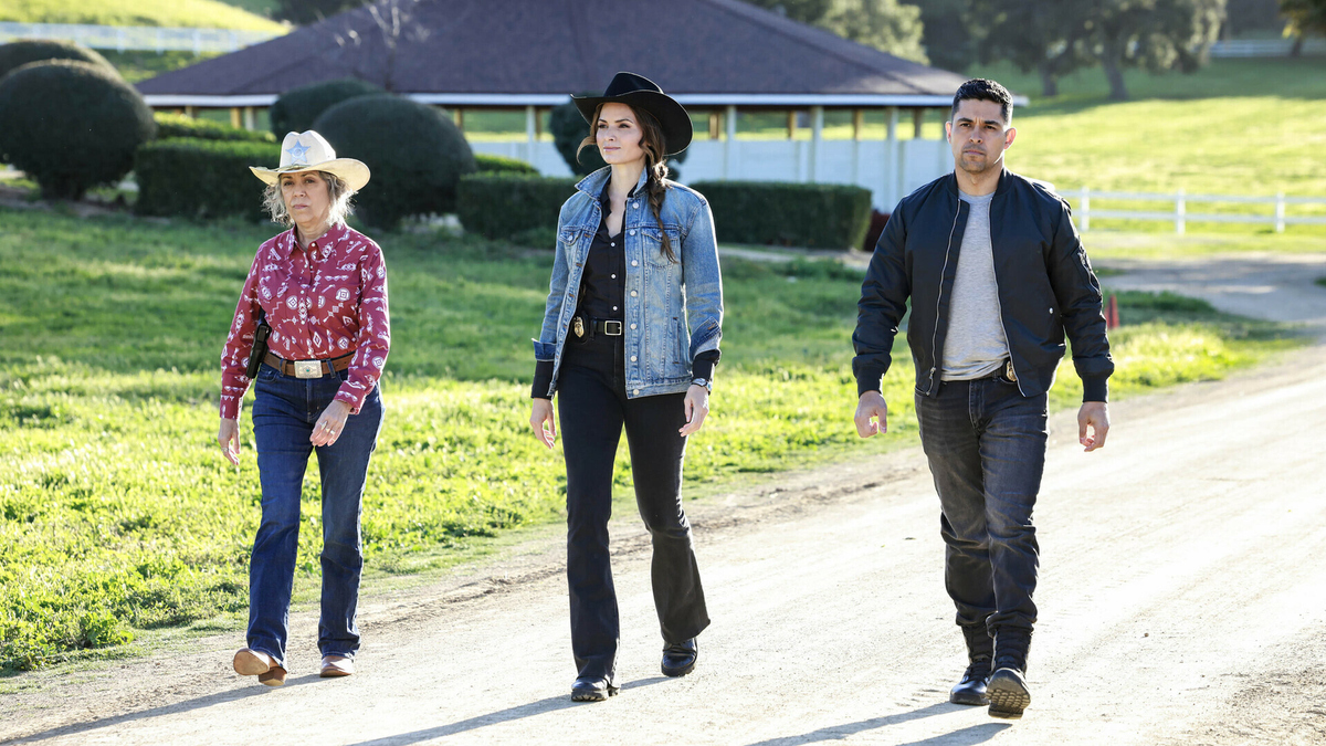 Watch NCIS Season 21 Episode 9: NCIS - Prime Cut – Full show on ...