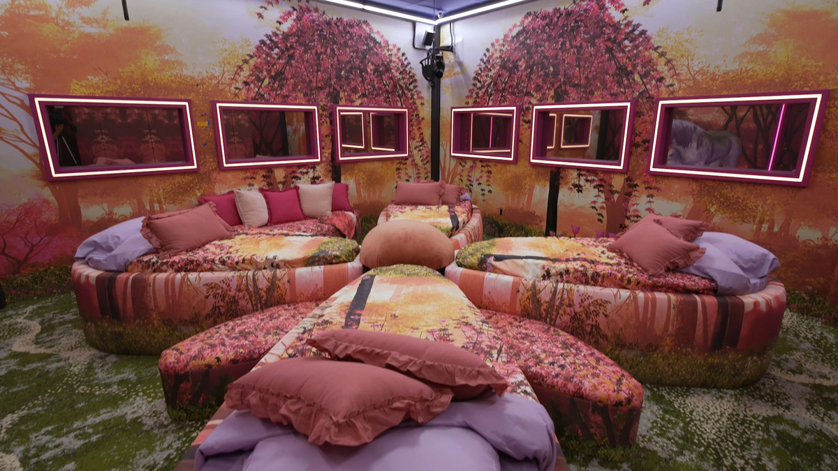 Watch Big Brother: Big Brother Season 26 House Tour - Full show on ...