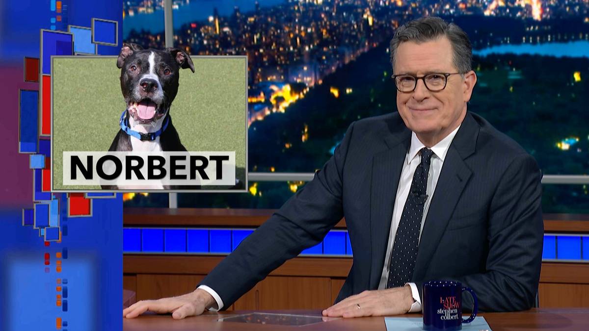 Watch The Late Show with Stephen Colbert Season 10 Episode : A Day In ...