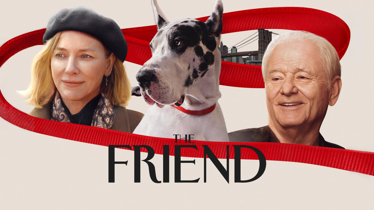 The Friend - Watch Movie Trailer on Paramount Plus