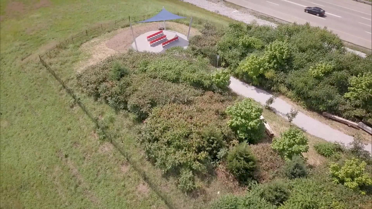 Watch Sunday Morning: Indianapolis' Idle, an oasis on the interstate ...