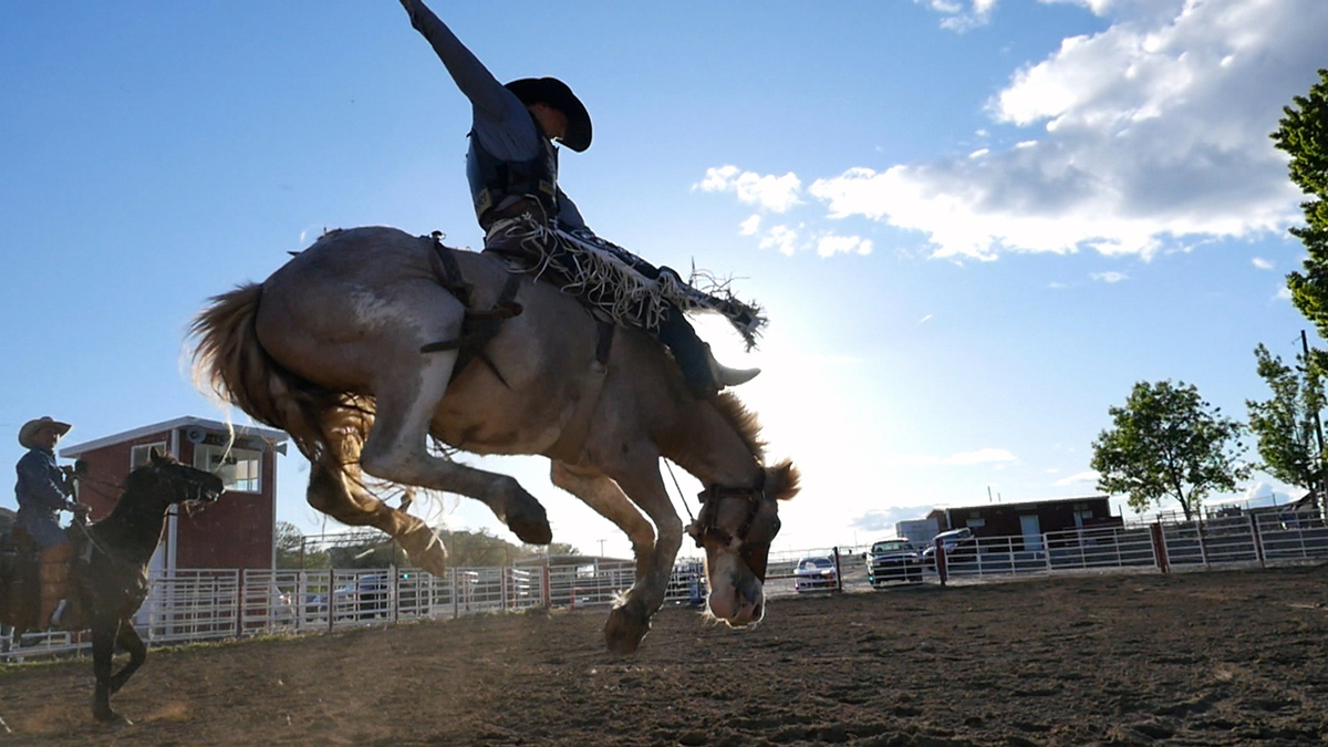 Watch 60 Minutes Overtime: What happens during a saddle bronc ride ...