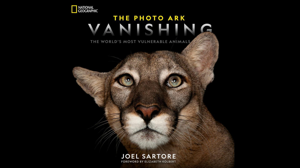 Watch Sunday Morning A Wake up Call On Saving Endangered Species Full Show On CBS watch-sunday-morning-a-wake-up-call-on-saving-endangered-species-full-show-on-cbs