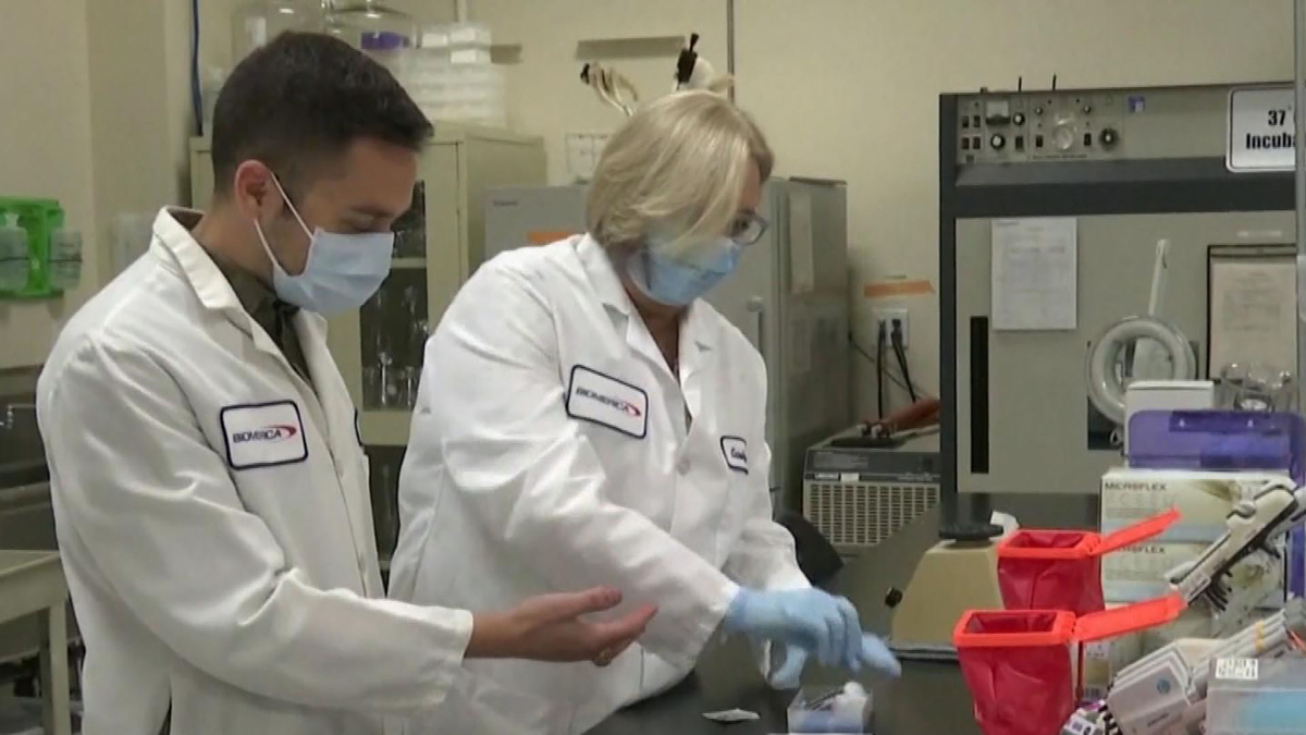 Watch CBS Evening News: Antibody test concerns as states look to reopen ...