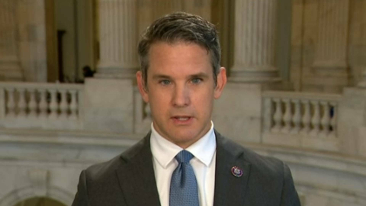 Watch Face The Nation Kinzinger Says Gop Must Move Past Trump Full