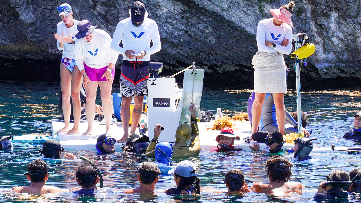 Watch 60 Minutes Overtime: Alexey Molchanov’s world record dive - Full ...
