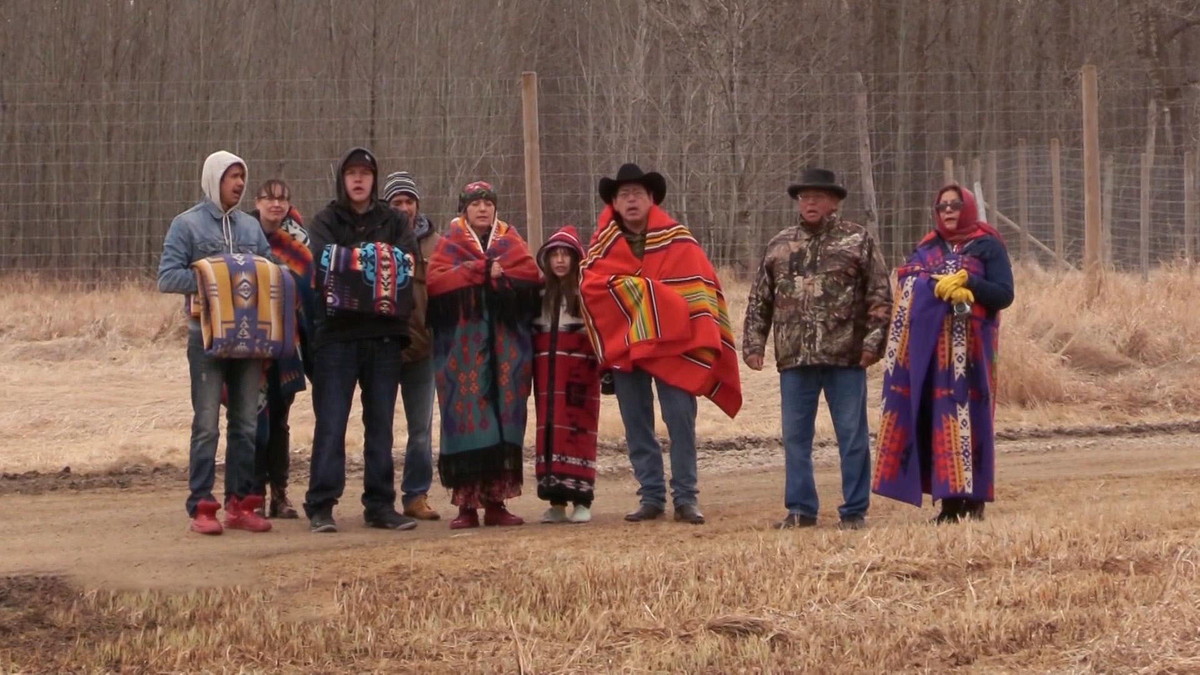 Watch CBS Saturday Morning: The effort to return buffalo to the West ...