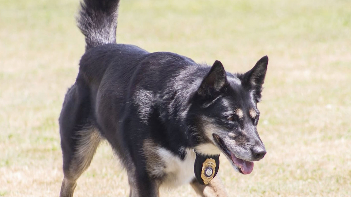 Watch The Uplift Season 2022 Episode 21: The Uplift: A super mom, a ...