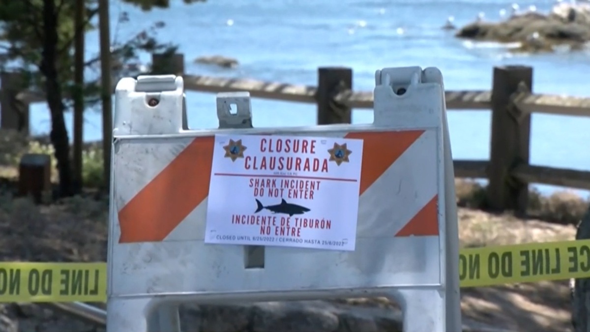 Watch CBS Evening News: Man hospitalized after California shark attack ...