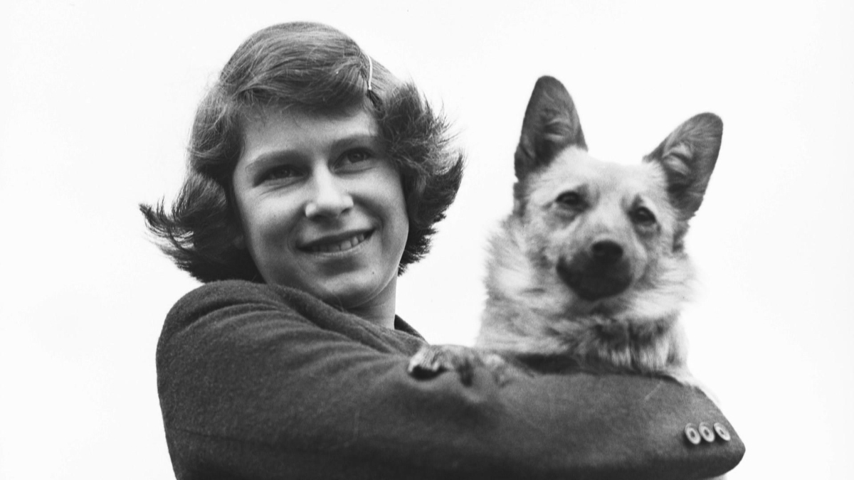 Watch Sunday Morning: The Queen's lifelong love of animals - Full show ...