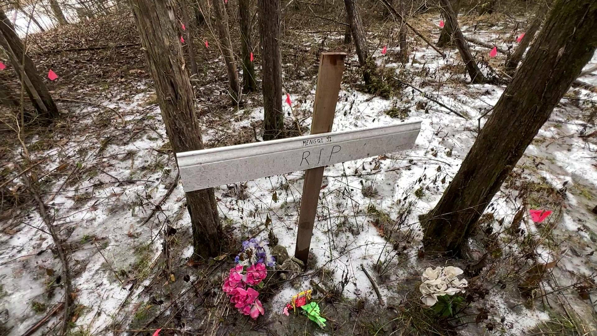 Watch 48 Hours Season 35 Episode 15: The Tree that Helped Solve a ...