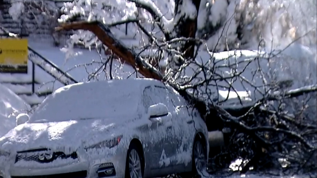 Watch CBS Evening News: Denver snowstorm strands hundreds of drivers ...