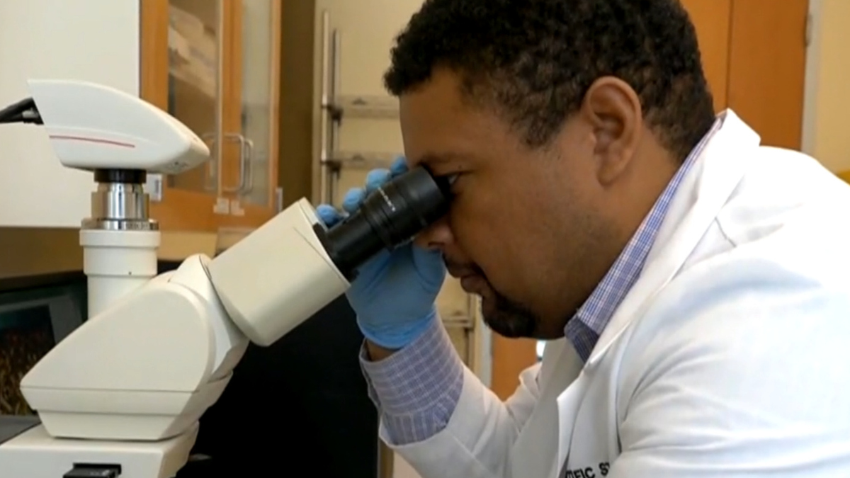 Watch CBS Evening News Season Episode : Military labs identify long ...