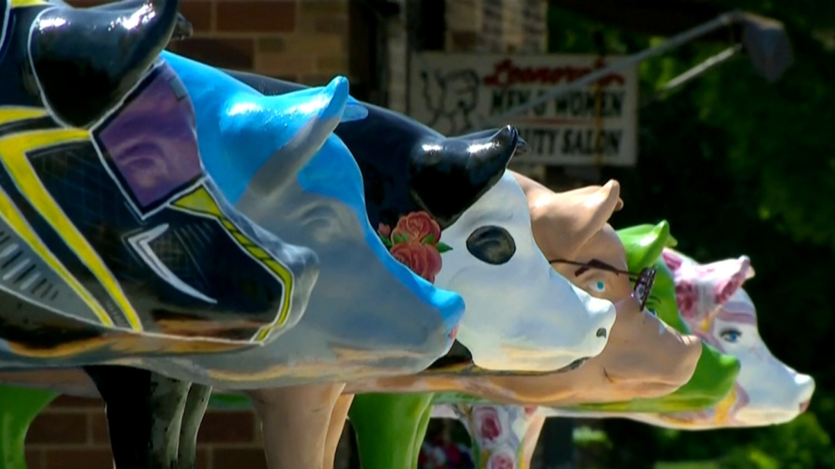 Watch CBS Evening News: Pig statues giving an economic boost in ...