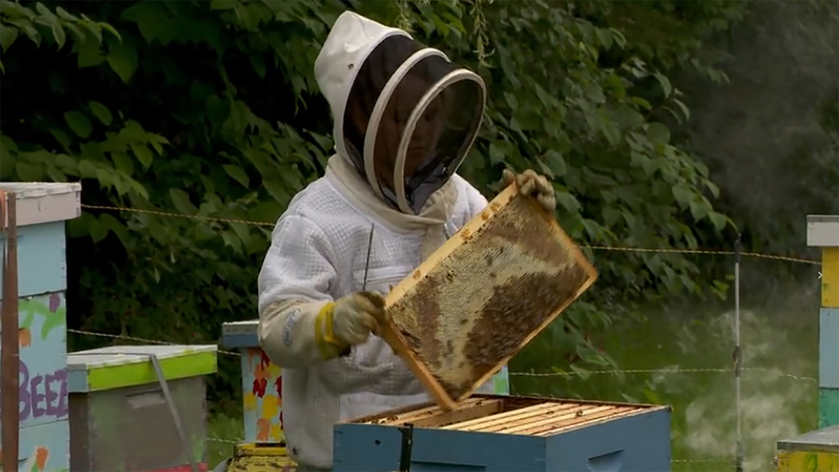 Watch Sunday Morning: Meet Maine's most celebrated young beekeeper ...