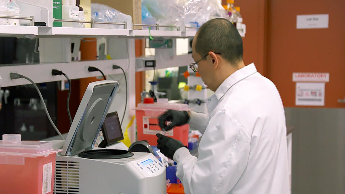 Watch CBS Evening News Season Episode : Biotech firm developing lab-grown alternative to palm ...