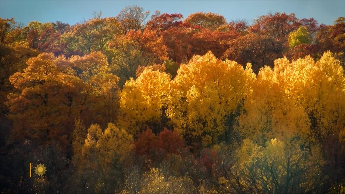 Watch Sunday Morning: Nature: Fall foliage in Minnesota - Full show on CBS
