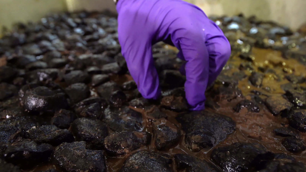 Watch 60 Minutes Overtime: Into the deep | 60 Minutes Archive - Full ...