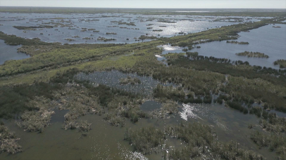 Watch CBS Saturday Morning: The work to restore Florida's Everglades ...