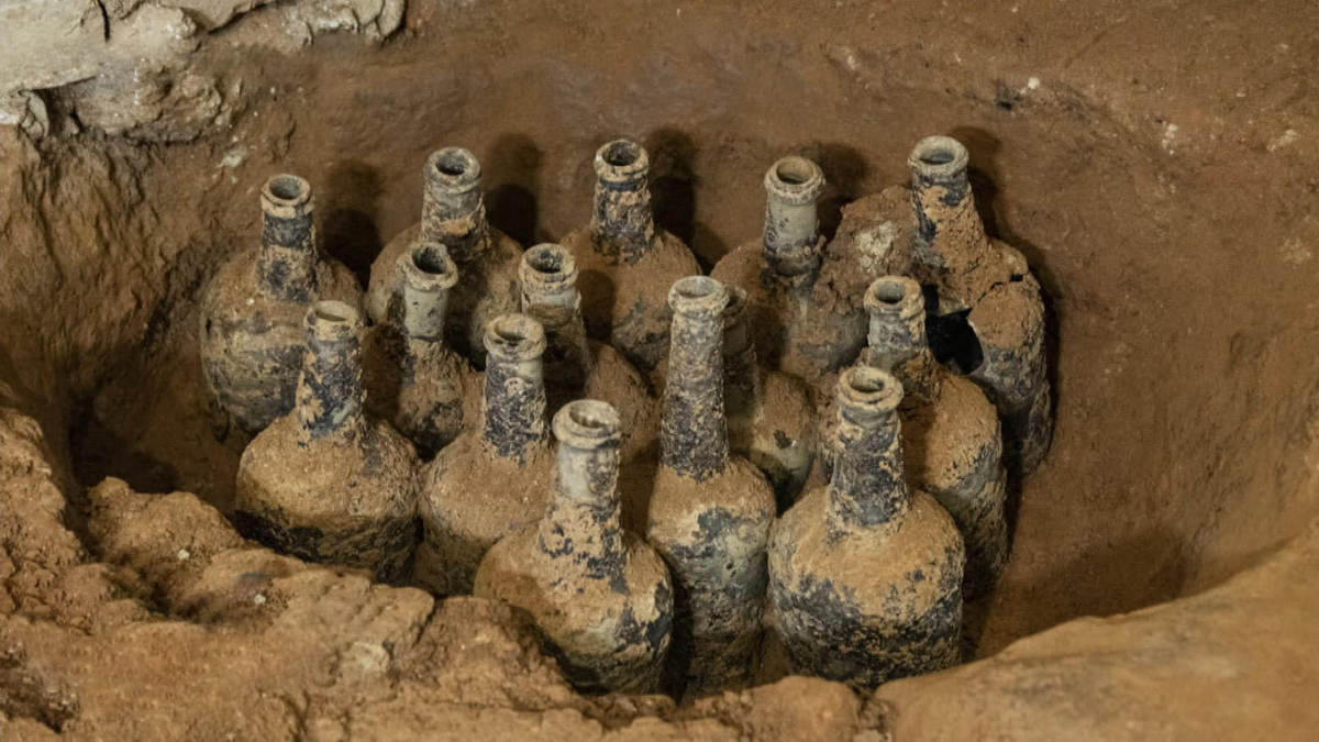 Watch CBS Mornings Season Episode : Preserved cherries and berries from ...