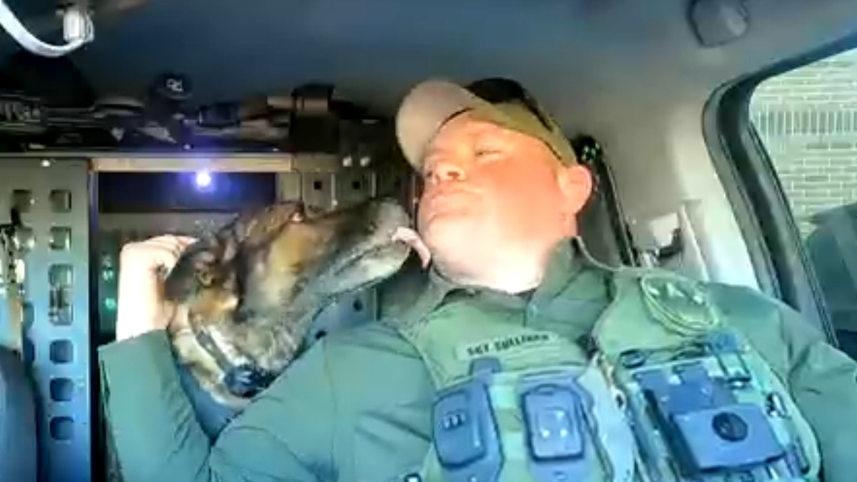 Watch CBS Evening News: Retired K-9 gets new assignment - Full show on CBS