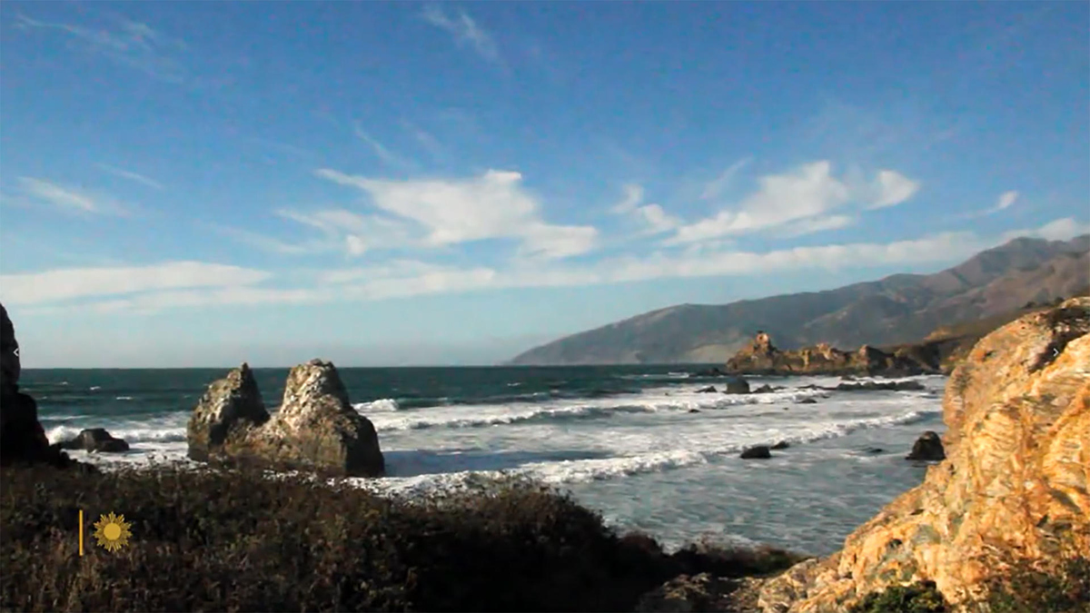 Watch Sunday Morning: Nature: Sand Dollar Beach - Full show on CBS