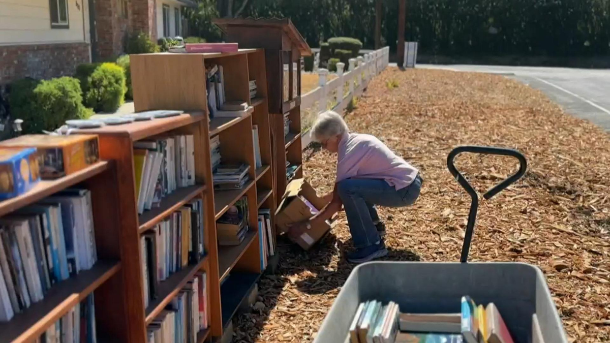 Watch CBS Evening News: Woman takes little free libraries to another ...