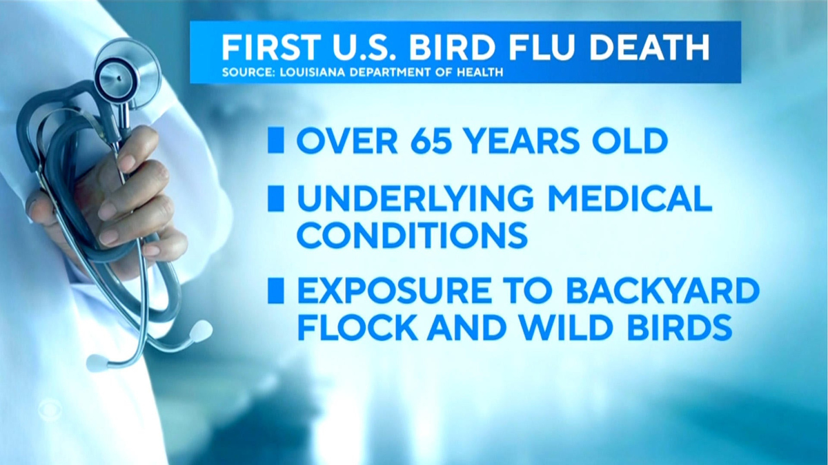 Watch CBS Evening News: First bird flu death in U.S. reported in ...