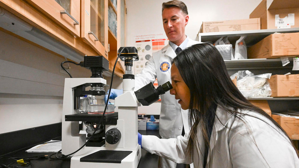 Watch CBS Evening News: Medical research in jeopardy as Trump seeks ...